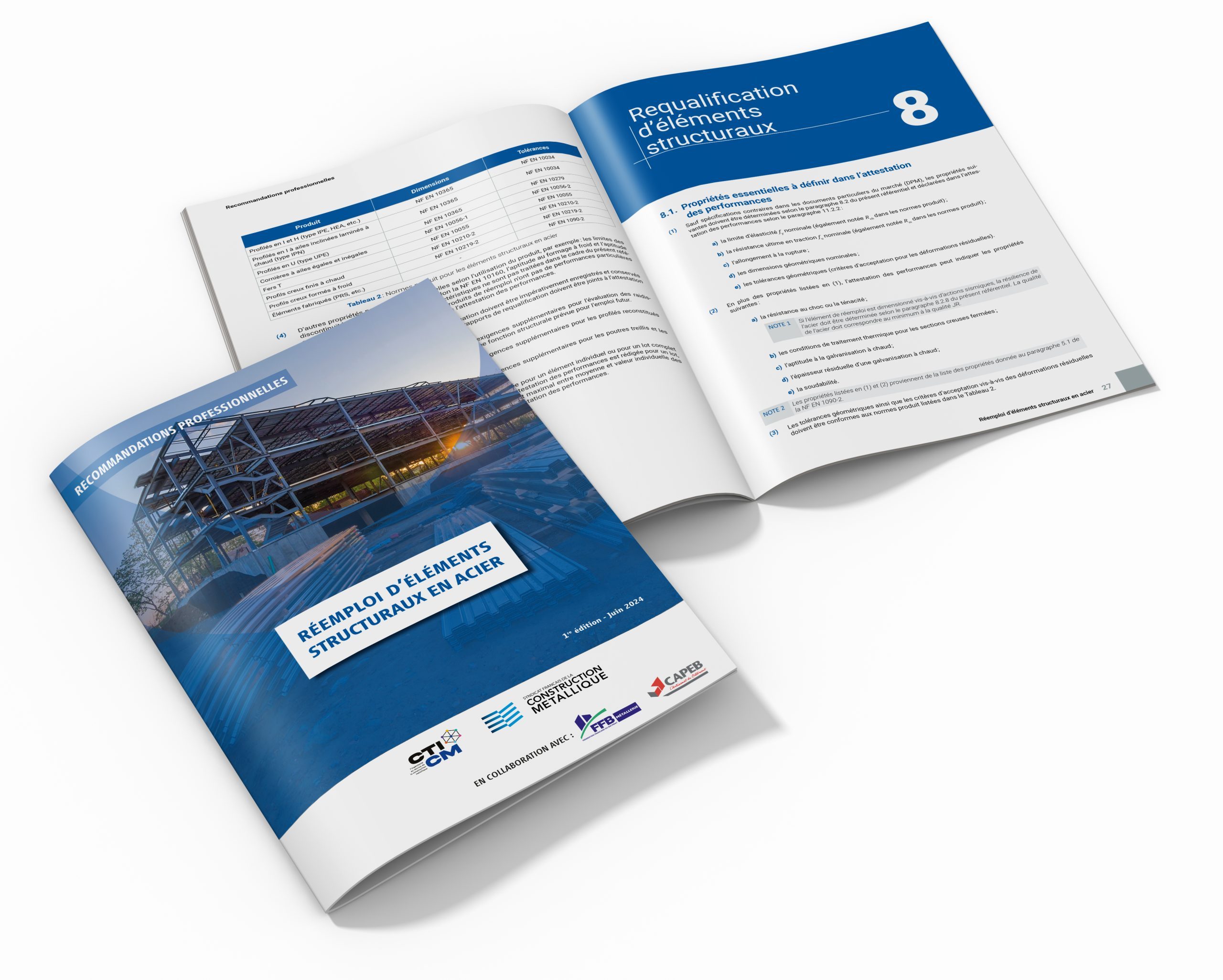 Nouvelle parution : Recommandations professionnelles - Réemploi d ...